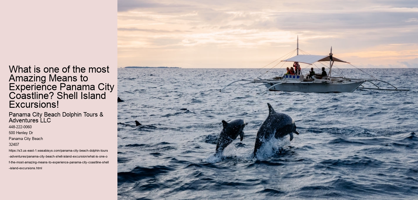 What is one of the most Amazing Means to Experience Panama City ...