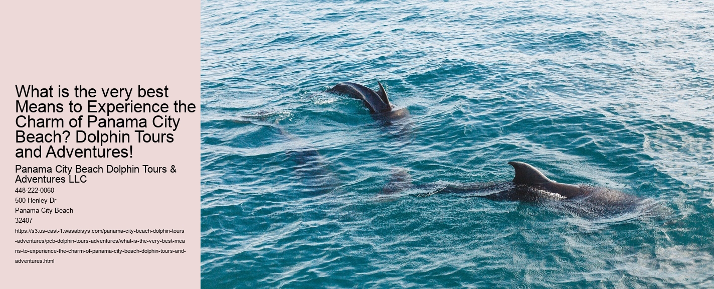 What is the very best Means to Experience the Charm of Panama City Beach? Dolphin Tours and ...